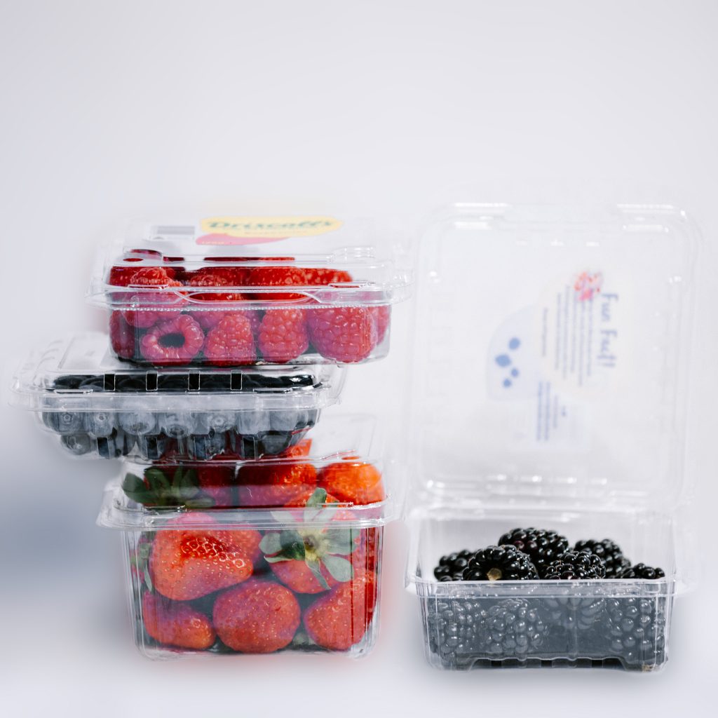 Fruit Punnets – Reitsema Packaging